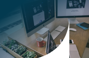 Meet Our Expert Team | Grun Group Real Estate Professionals